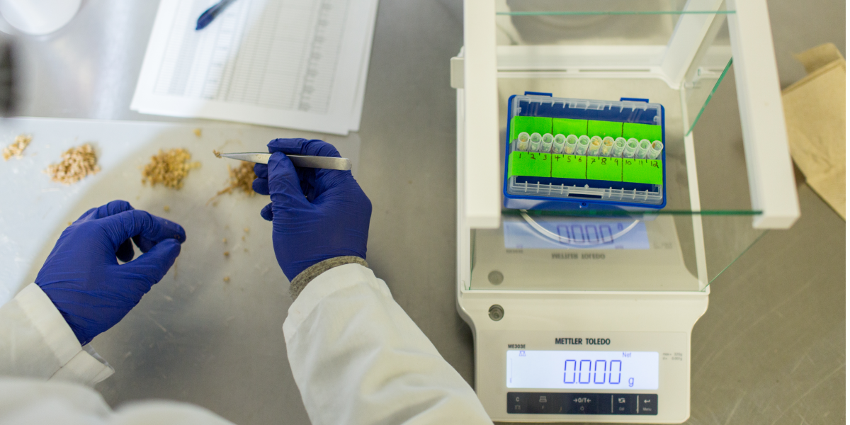 Pivot Bio One of the World's 50 Most Innovative Companies