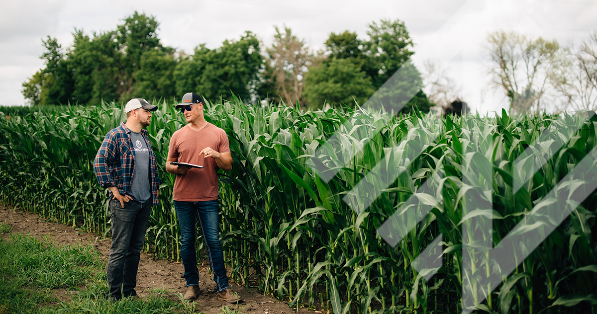 Pivot Bio Shares Four Trends Driving Agriculture Forward