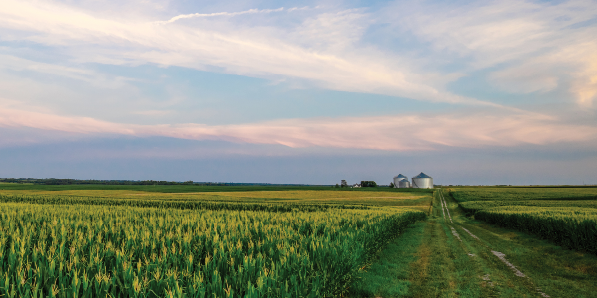 Pivot Bio Releases 2023 Impact Report