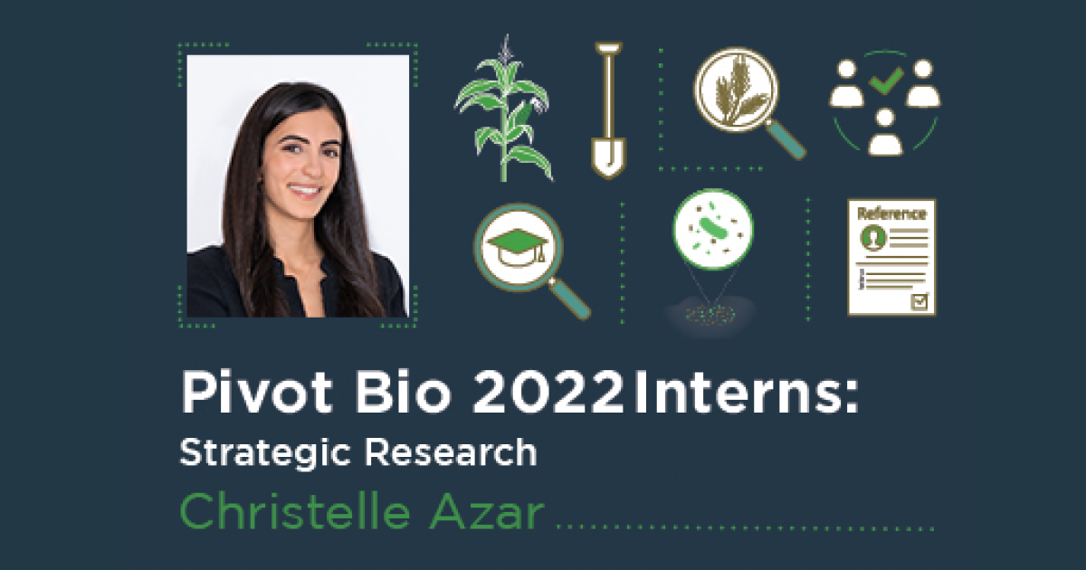 Pivot Bio Interns 2022: Strategic Research
