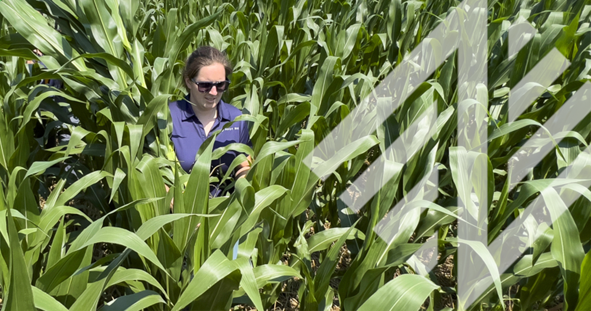 Contributing To The Solutions Conversation Through Partnerships