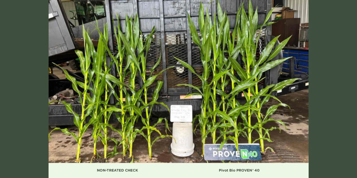 Pivot Bio In-Plant Nitrogen Study | Pivot Bio