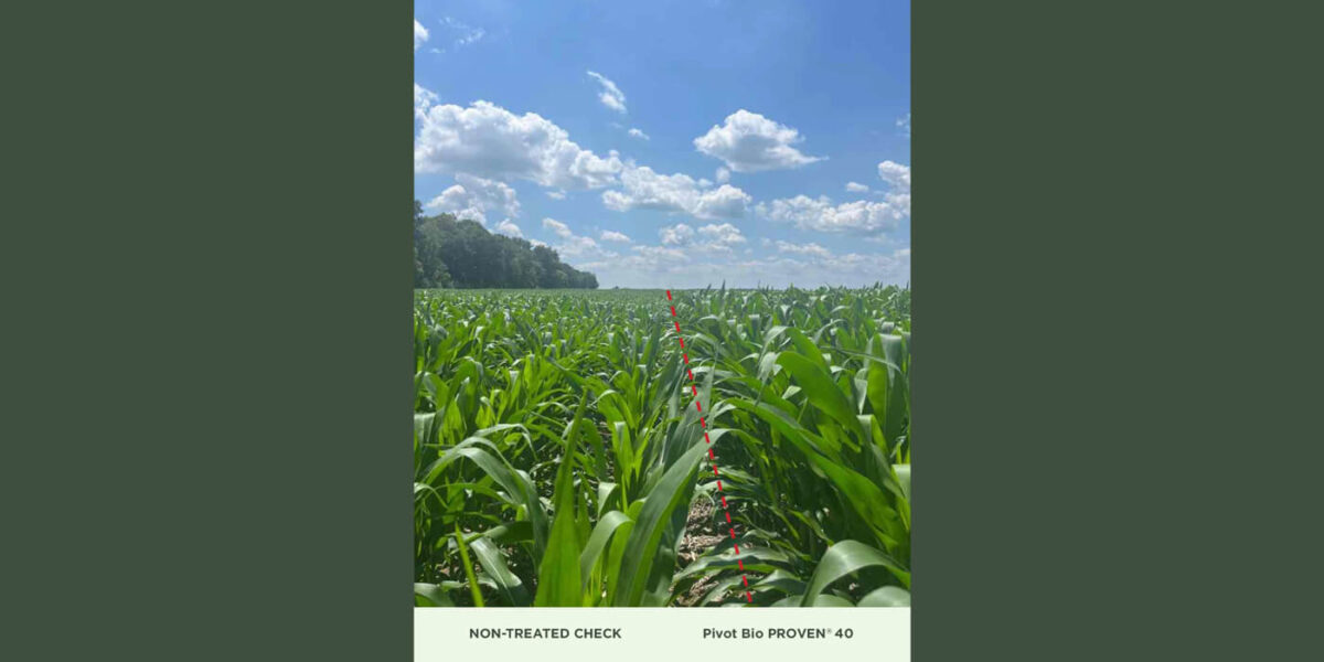 Pivot Bio In-Plant Nitrogen Study | Pivot Bio