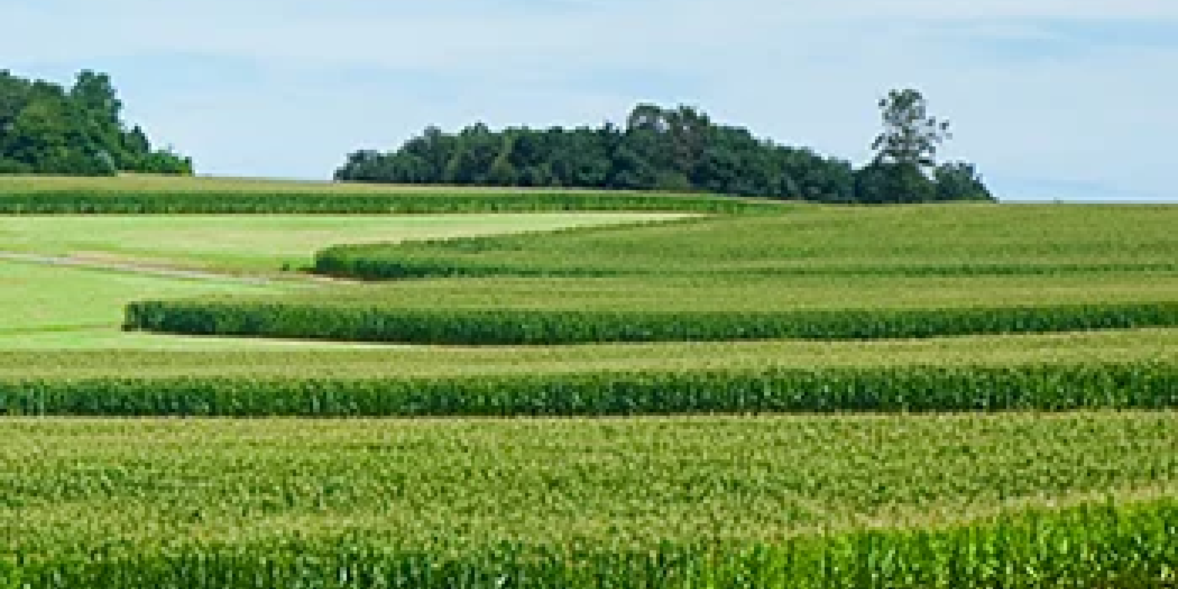 Pivot Bio Launches its 2020 Sales Season