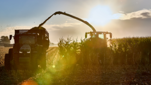 Pivot Bio PROVEN 40 | A microbial fertilizer for Corn