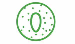 Pivot Bio PROVEN G3 | Pivot Bio