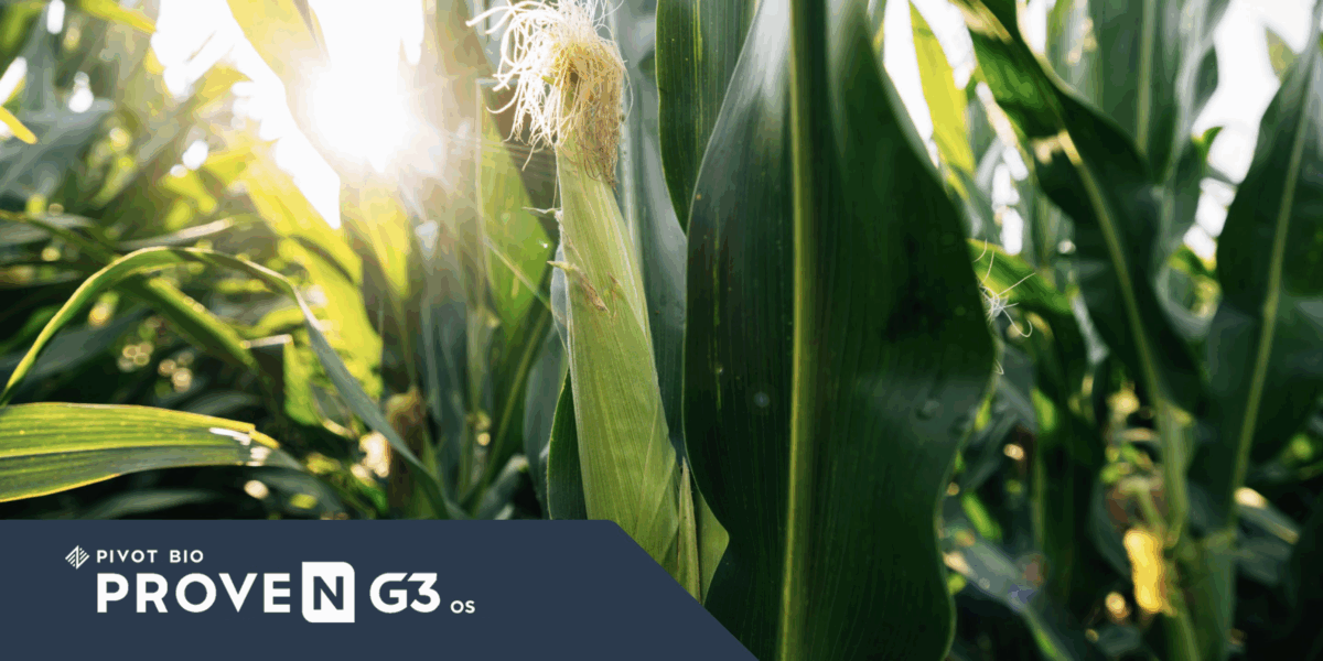 Pivot Bio PROVEN G3 | Pivot Bio