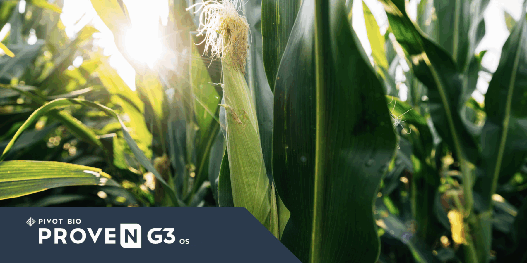 Pivot Bio PROVEN G3 | Pivot Bio