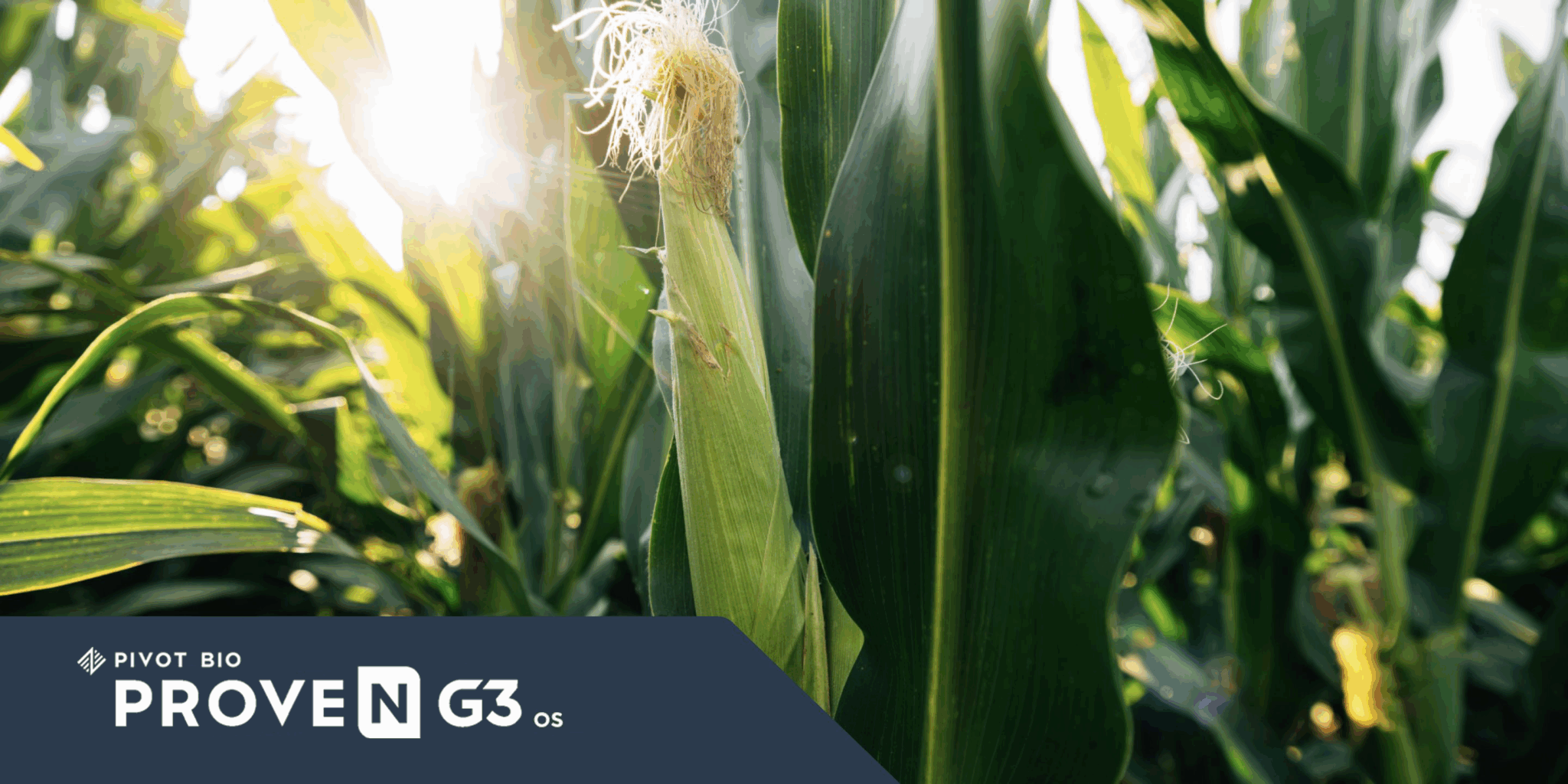Pivot Bio PROVEN G3 | Pivot Bio